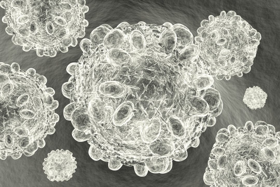 hepatitis virus HCV microscopy magnification 3D Illustration | Ville de ...